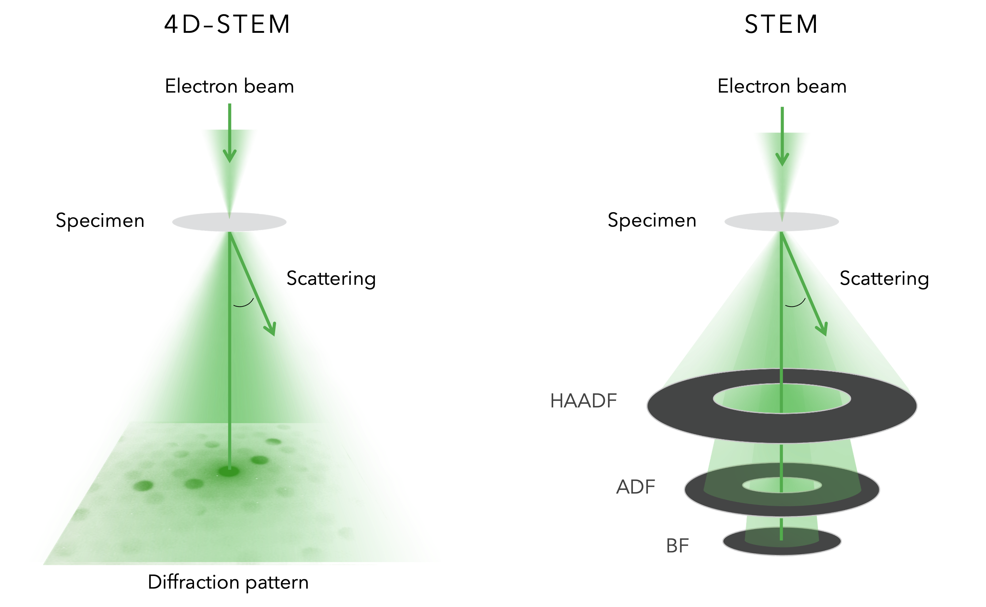 Techniques – DISORDER Group